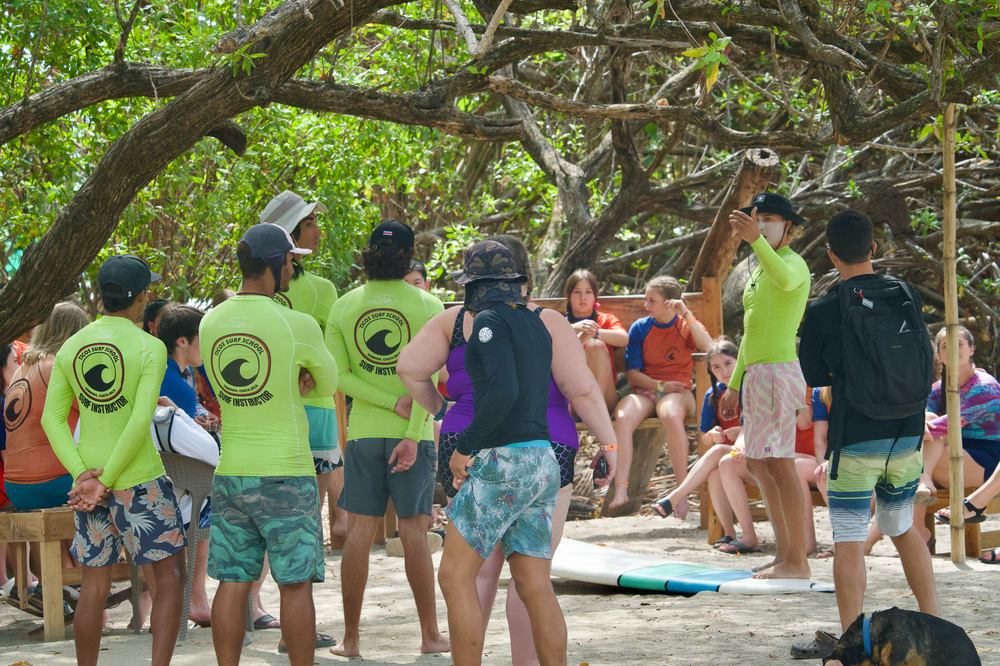 About Tico's Surf School in Playa Sámara, Costa Rica